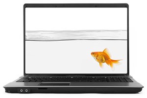 Help protect Oxford from cyber threats | IT Services